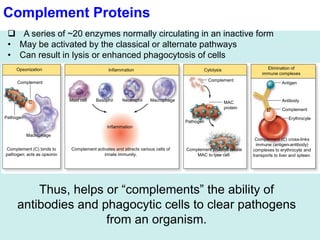 introduction to immunity & Innate immunity.ppt