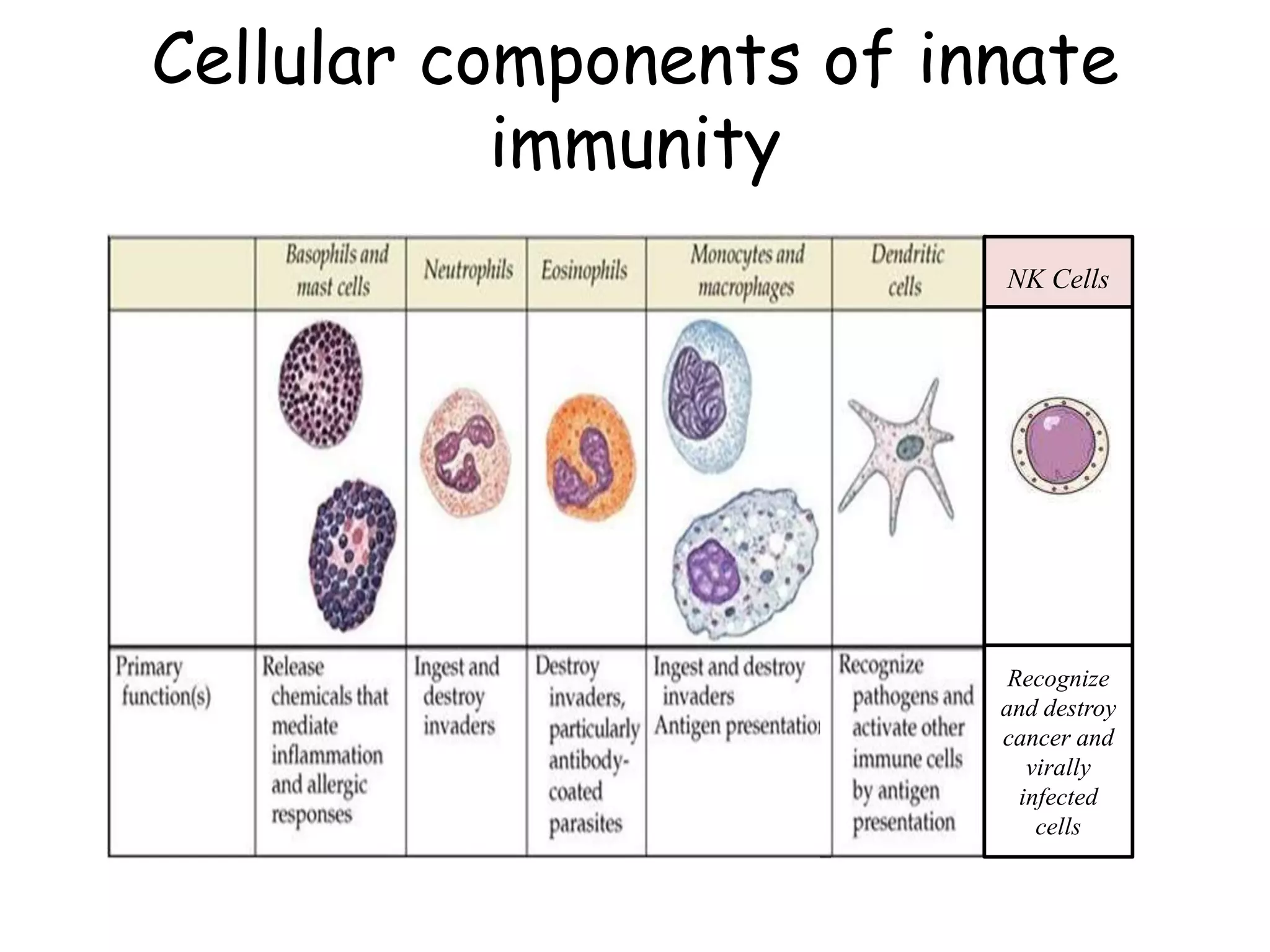 Innate immunity: An Over view | PPTX