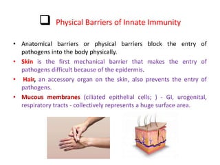 Innate Immunity ppt..pptx