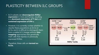 Innate lymphoid cells | PPTX
