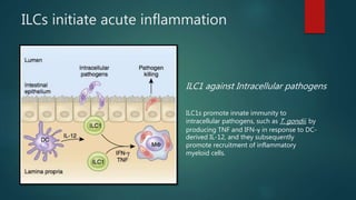 Innate lymphoid cells | PPTX