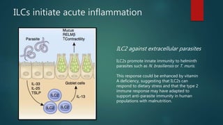 Innate lymphoid cells | PPTX