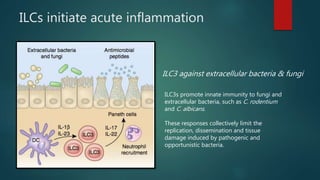 Innate lymphoid cells | PPTX