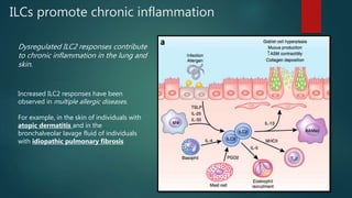 Innate lymphoid cells | PPTX