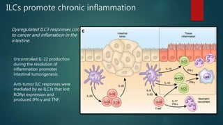 Innate lymphoid cells | PPTX