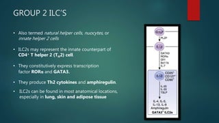Innate lymphoid cells | PPTX
