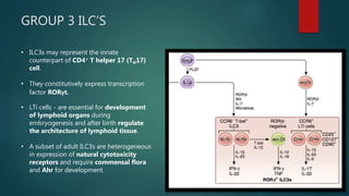 Innate lymphoid cells | PPTX