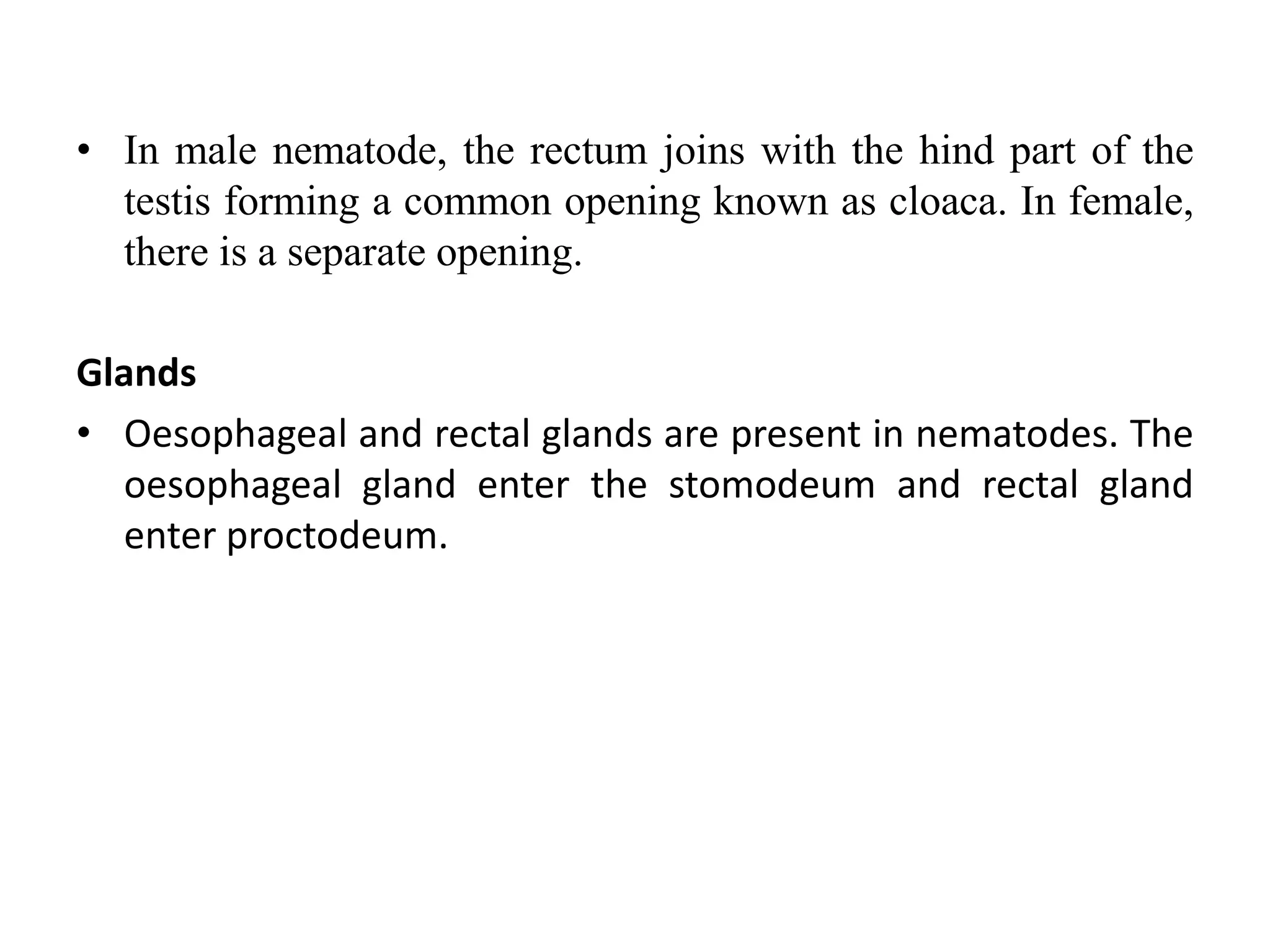 Inner body tube of nematodes | PPTX