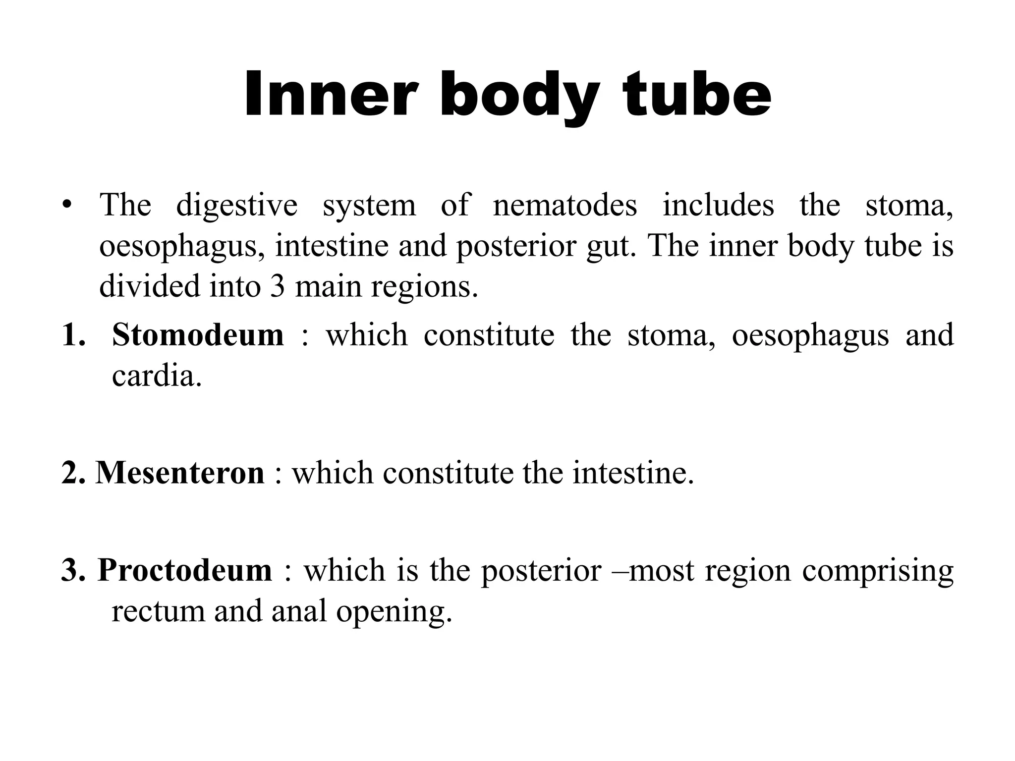 Inner body tube of nematodes | PPTX