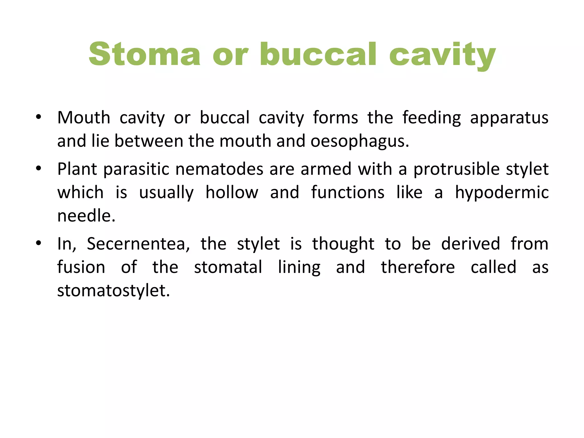 Inner body tube of nematodes | PPTX
