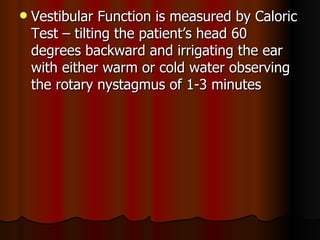 Inner ear | PPT