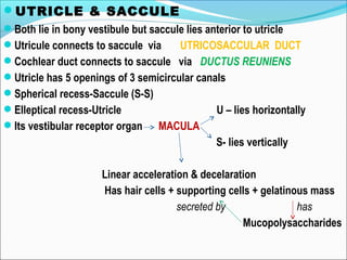 INNER EAR - DR NITIN ANIYAN THOMAS (NATS) | PPT