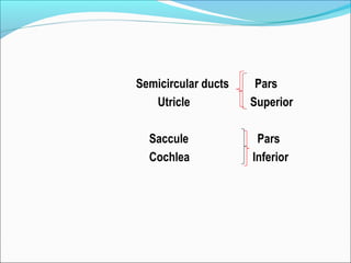 INNER EAR - DR NITIN ANIYAN THOMAS (NATS) | PPT