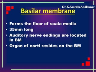 Anatomy of ear(Part 3-Inner Ear) by Dr.K.AmrithaAnilkumar | PPT