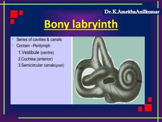 Anatomy of ear(Part 3-Inner Ear) by Dr.K.AmrithaAnilkumar | PPT