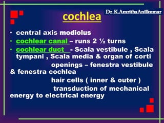 Anatomy of ear(Part 3-Inner Ear) by Dr.K.AmrithaAnilkumar | PPT