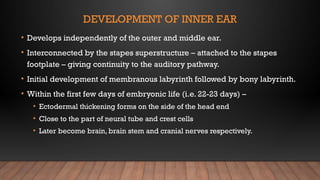 Comprehensive Anatomy and Development of the Inner Ear (Labyrinth) | PPTX