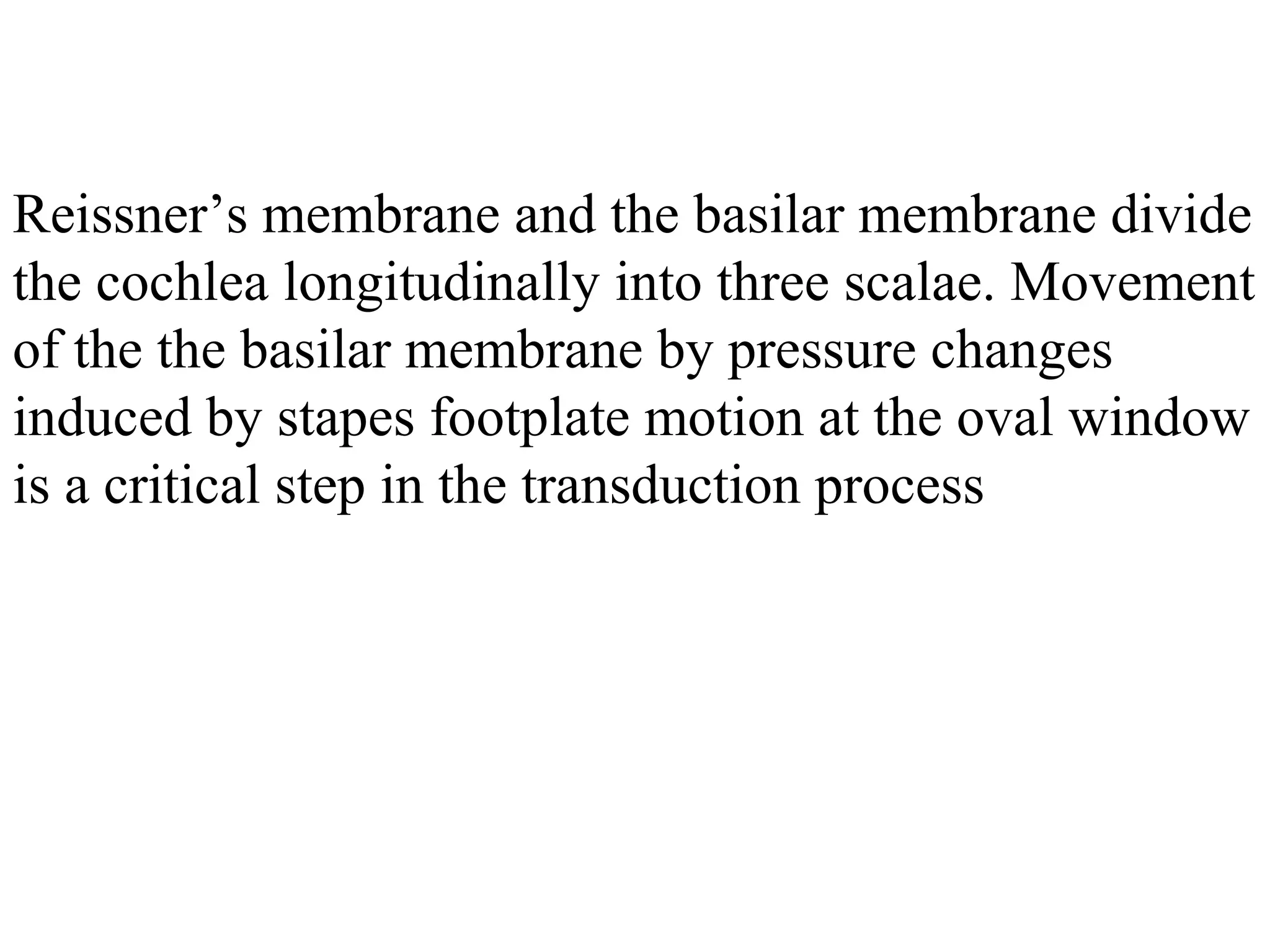 Inner ear anatomy | PPT