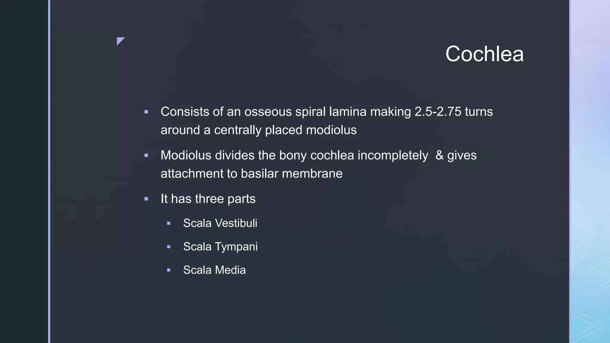 Inner ear anatomy | PPTX