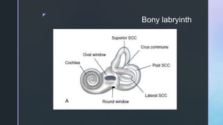 Inner ear anatomy | PPTX