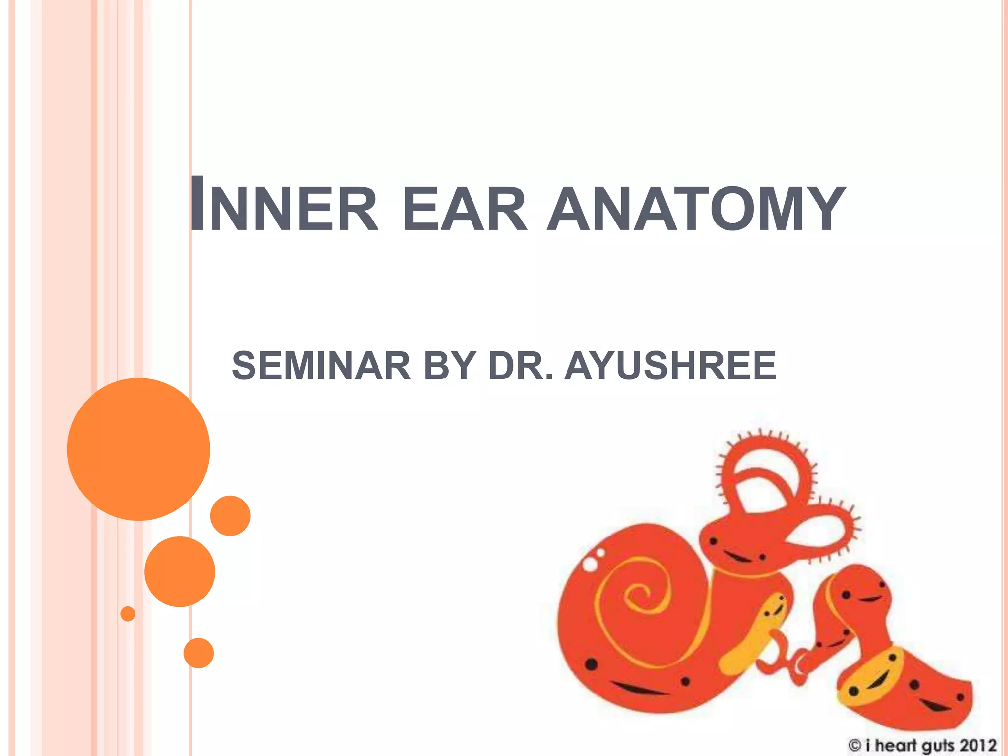 Inner ear anatomy | PPTX