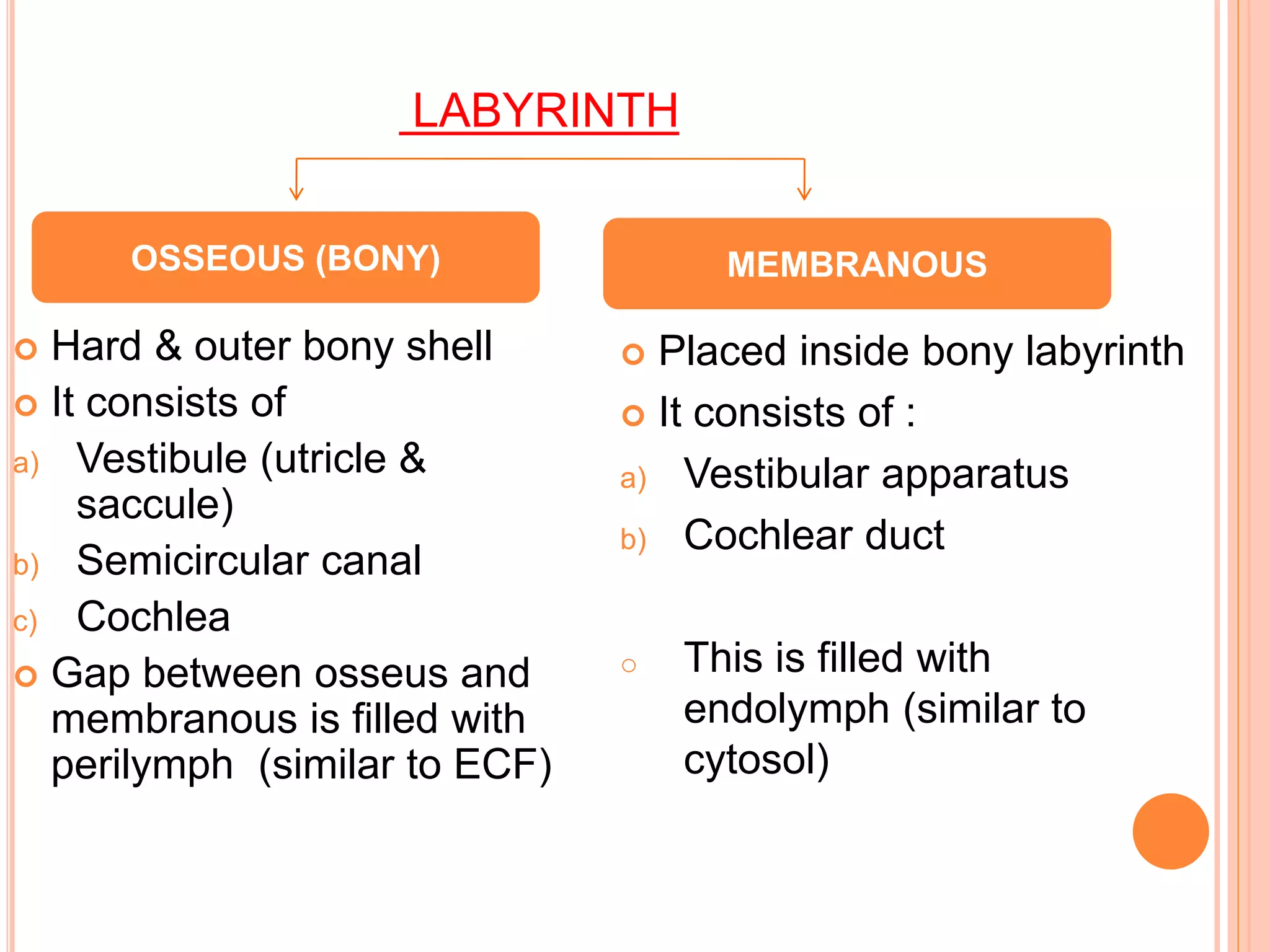 Inner ear anatomy | PPTX