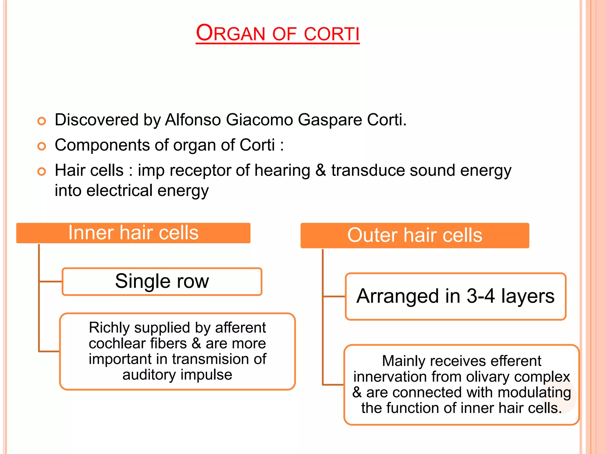 Inner ear anatomy | PPTX