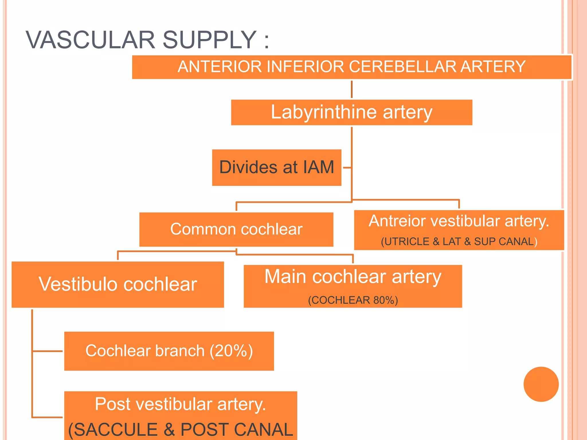 Inner ear anatomy | PPTX