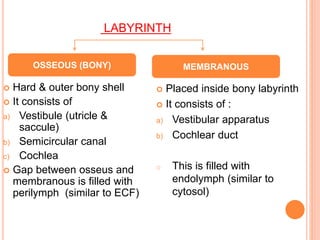 Inner ear anatomy | PPTX