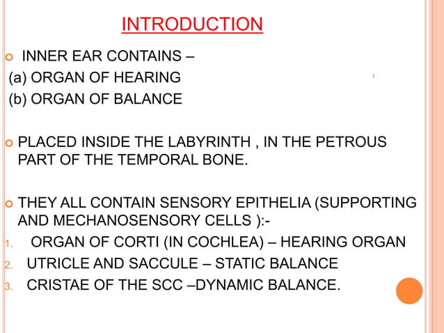 Inner ear anatomy | PPT