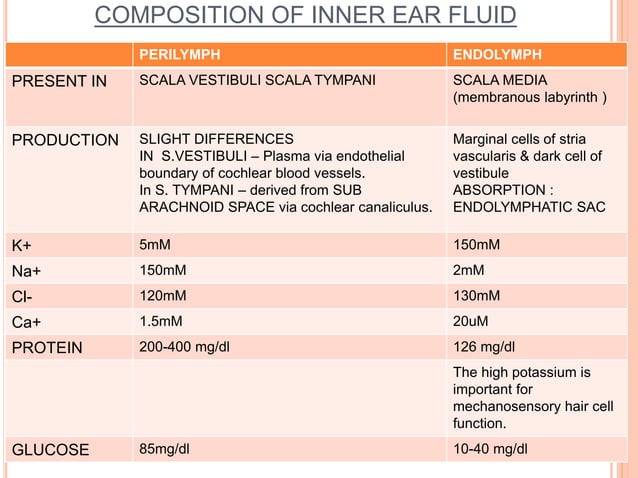 Inner ear anatomy | PPT