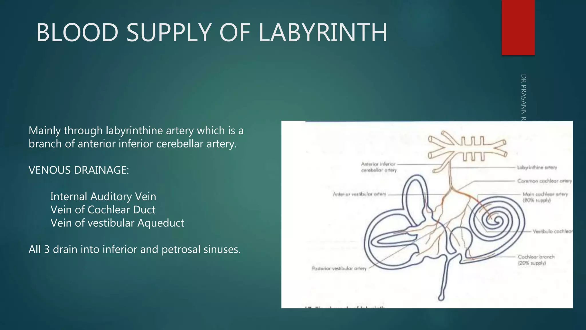 Inner ear anatomy & physiology of hearing | PPTX