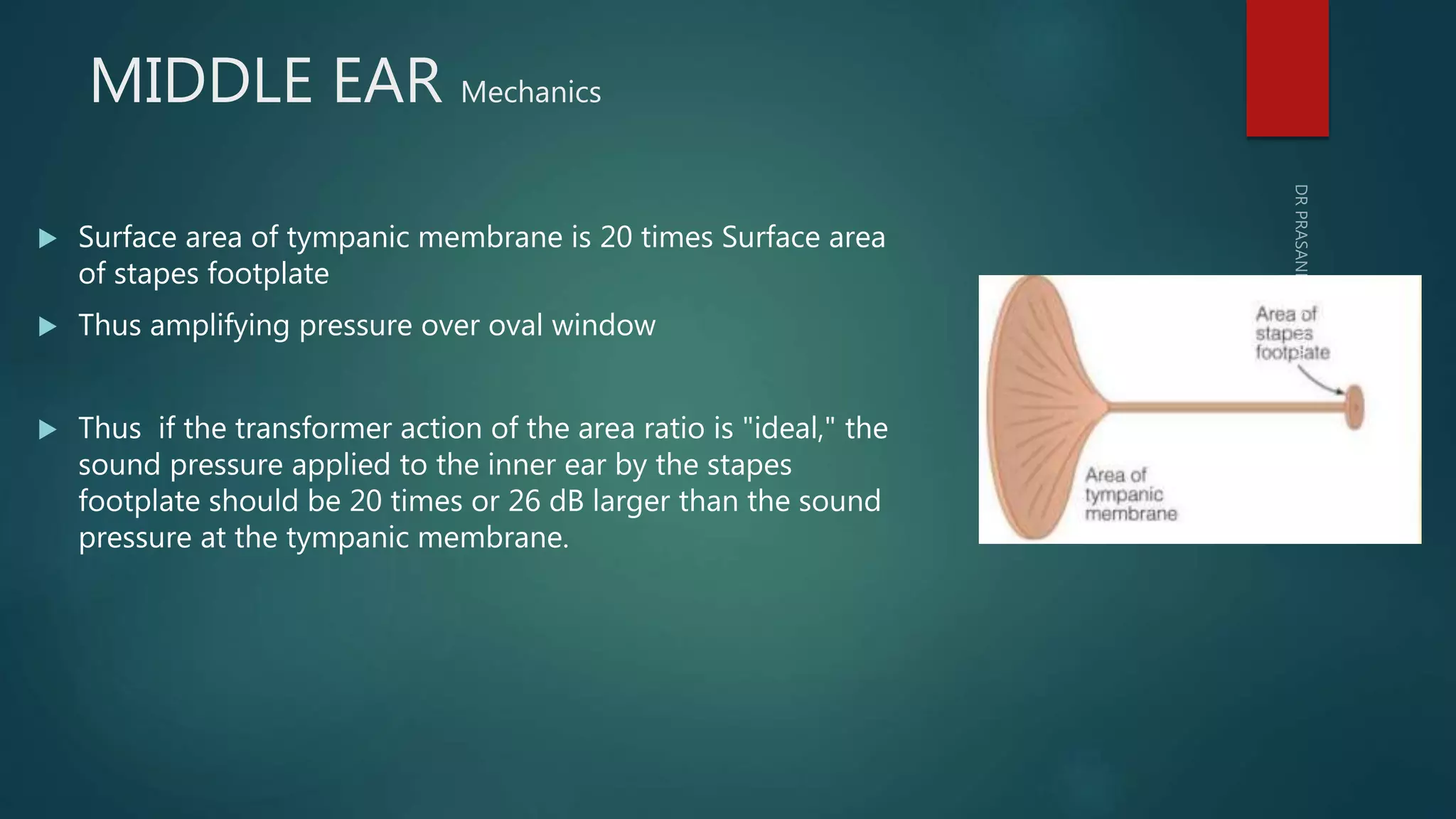 Inner ear anatomy & physiology of hearing | PPTX