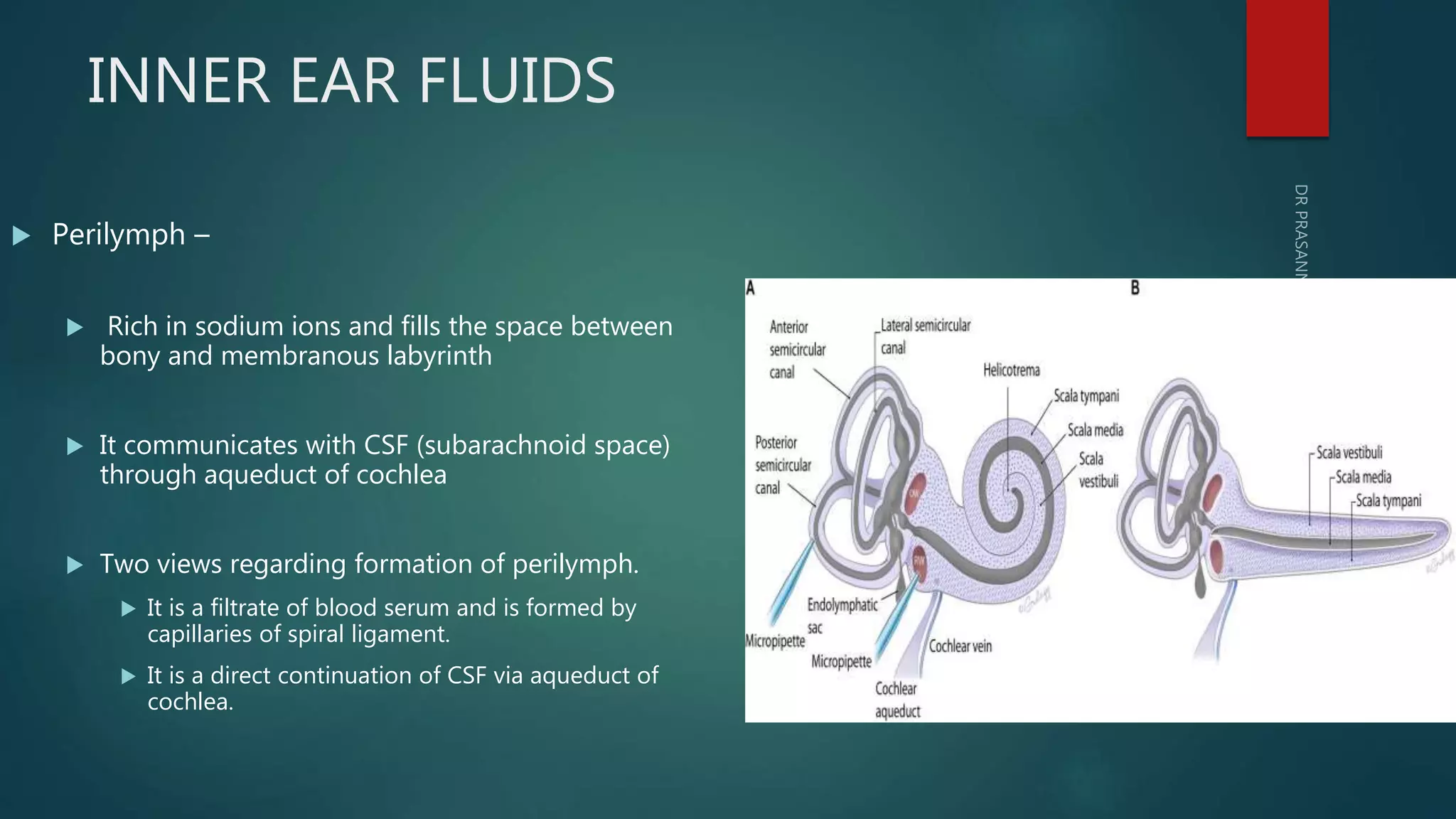 Inner ear anatomy & physiology of hearing | PPTX