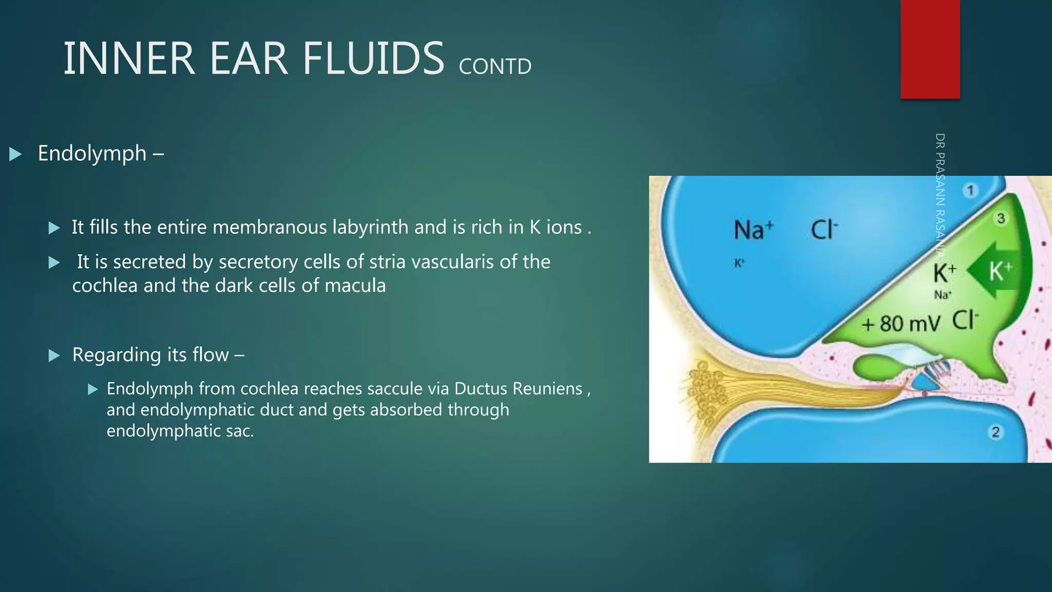 Inner ear anatomy & physiology of hearing | PPTX