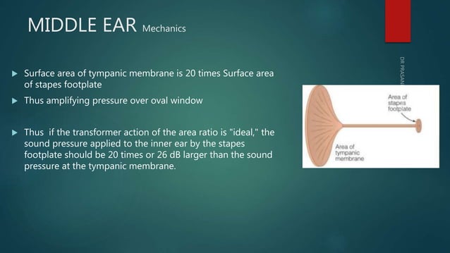 Inner ear anatomy & physiology of hearing | PPTX | Digital Audio ...