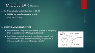 Inner ear anatomy & physiology of hearing | PPTX