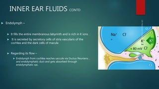 Inner ear anatomy & physiology of hearing | PPTX