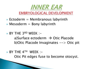 Anatomy of inner ear by Dr. Aditya Tiwari | PPTX