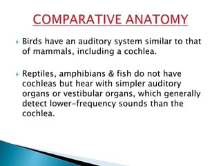 Anatomy of inner ear by Dr. Aditya Tiwari | PPTX