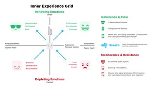 Inner Experience Grid | PPT