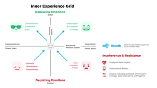Inner Experience Grid | PPT