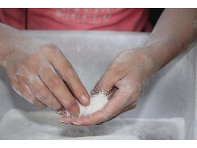 Inner mongolia trip | PPSX