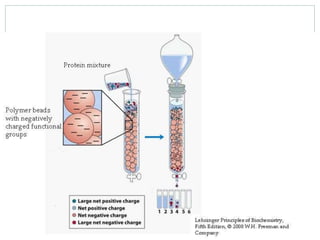 Inner transition series element | PPT