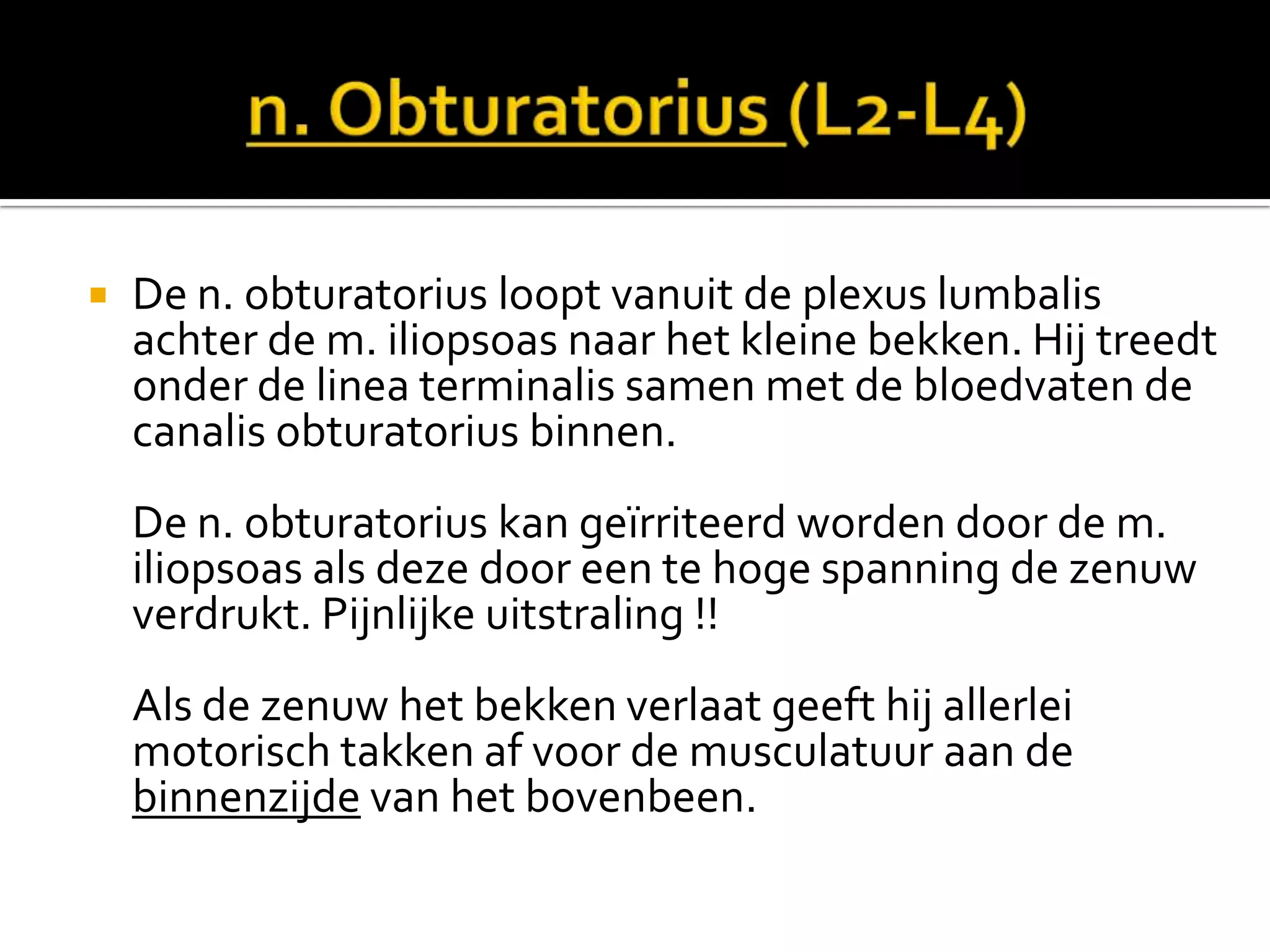 Innervatie van de heup | PPTX