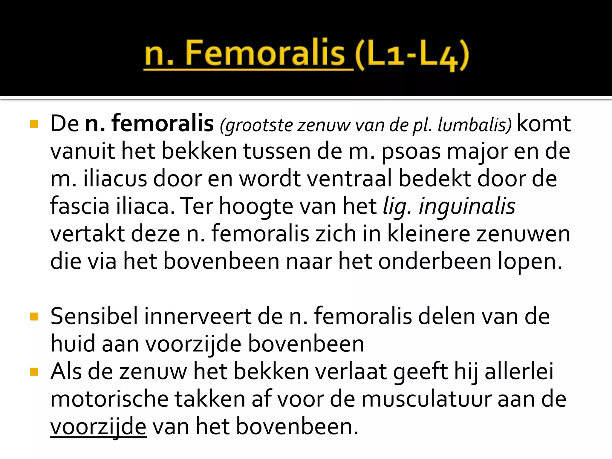 Innervatie van de heup | PPTX