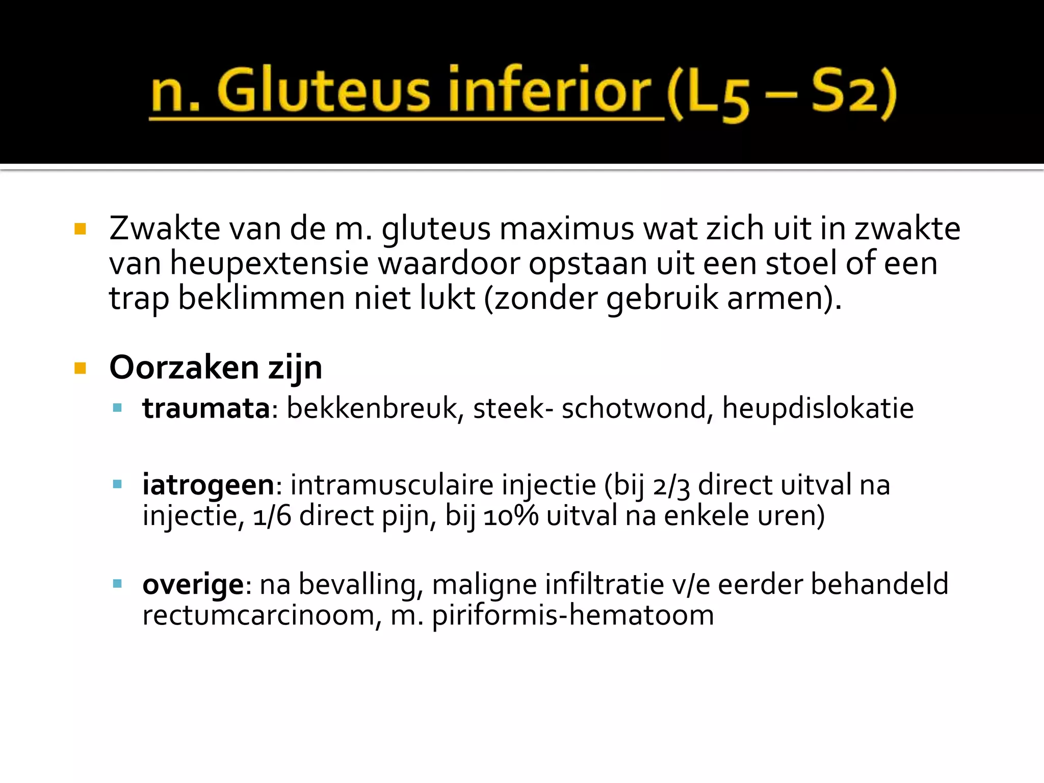 Innervatie van de heup | PPTX