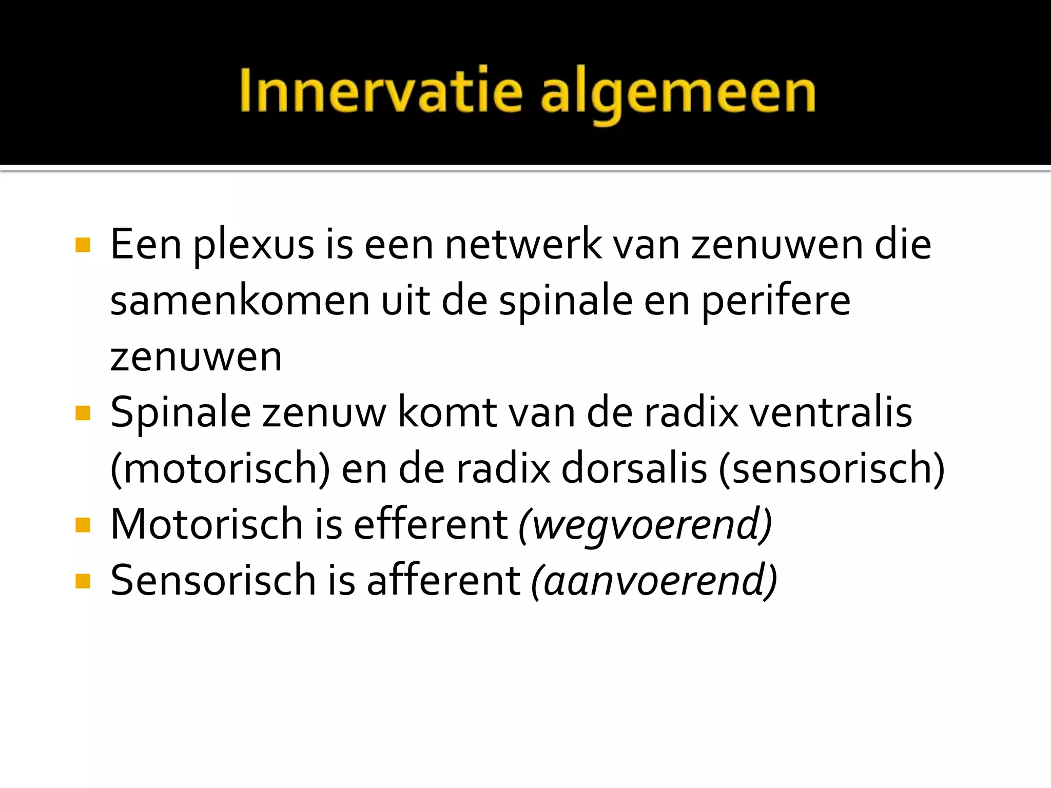 Innervatie van de heup | PPTX