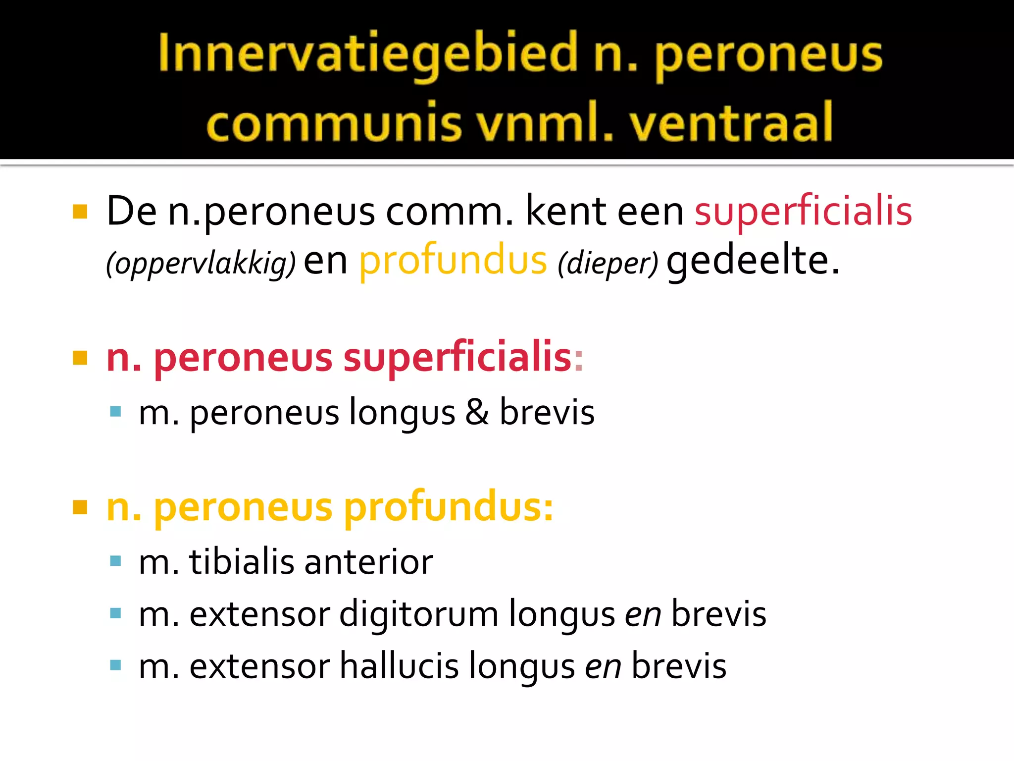 Innervatie van de heup | PPTX
