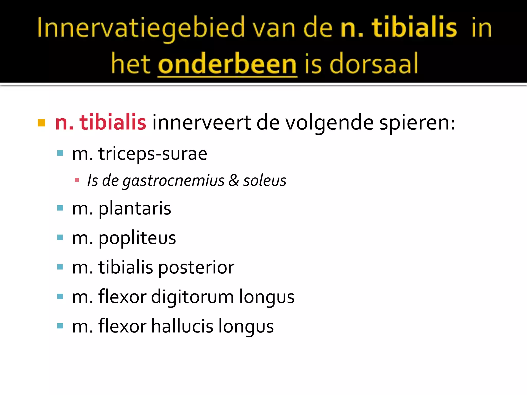 Innervatie van de heup | PPTX